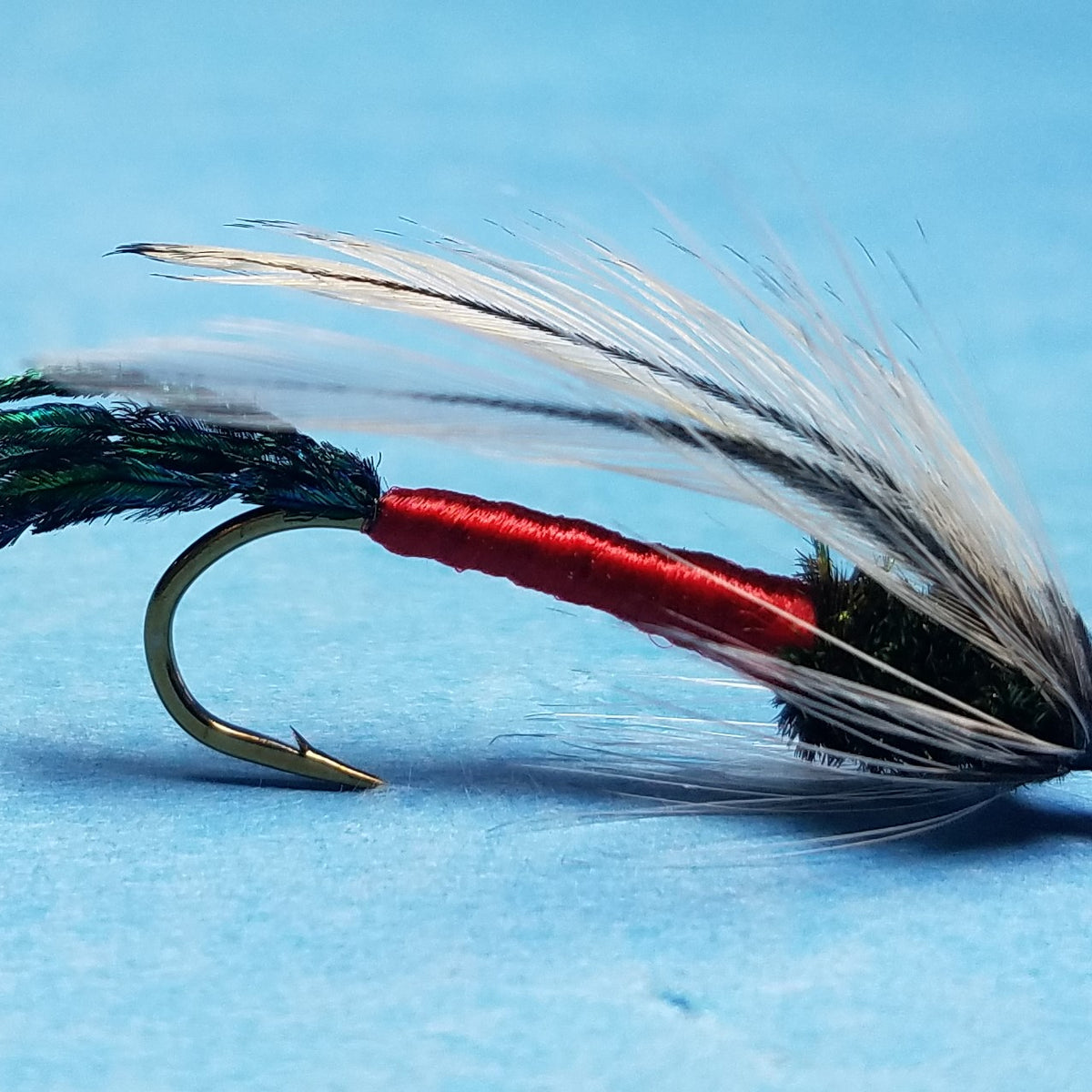 Spruce Fly – Waters West Fly Fishing Outfitters