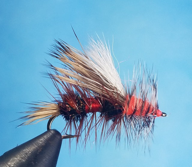 Stimulator - Royal – Waters West Fly Fishing Outfitters