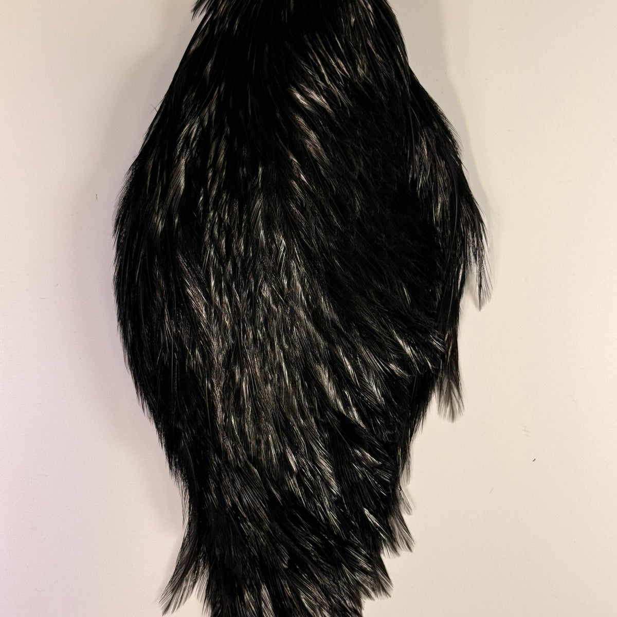 Streamer Rooster Neck #1 at Waters West Fly Fishing Outfitters.