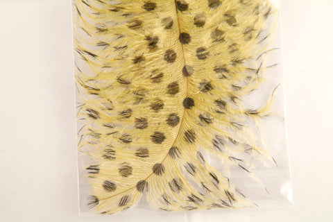 OPST Signature Intruder Ostrich at Waters West Fly Fishing Outfitters.