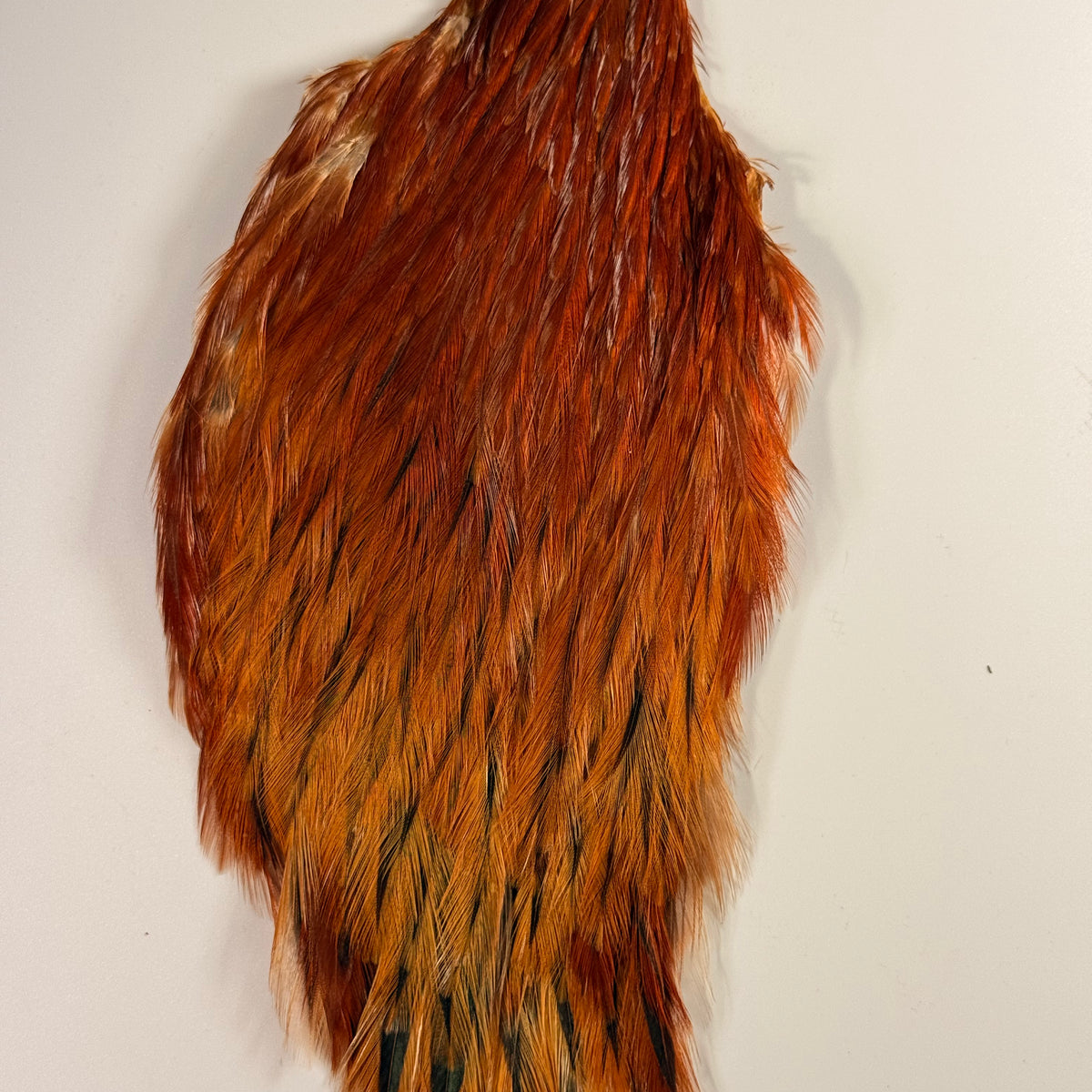 STREAMER ROOSTER NECK. #2 BROWN/NAT at Waters West Fly Fishing Outfitters.