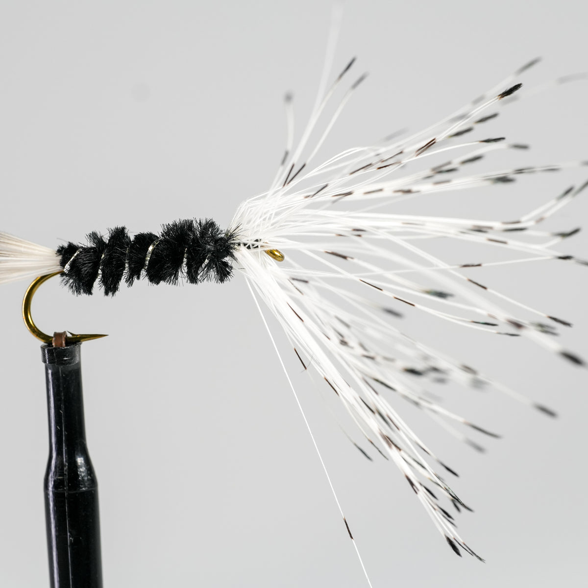 Kinney’s Reverse Spider – Waters West Fly Fishing Outfitters