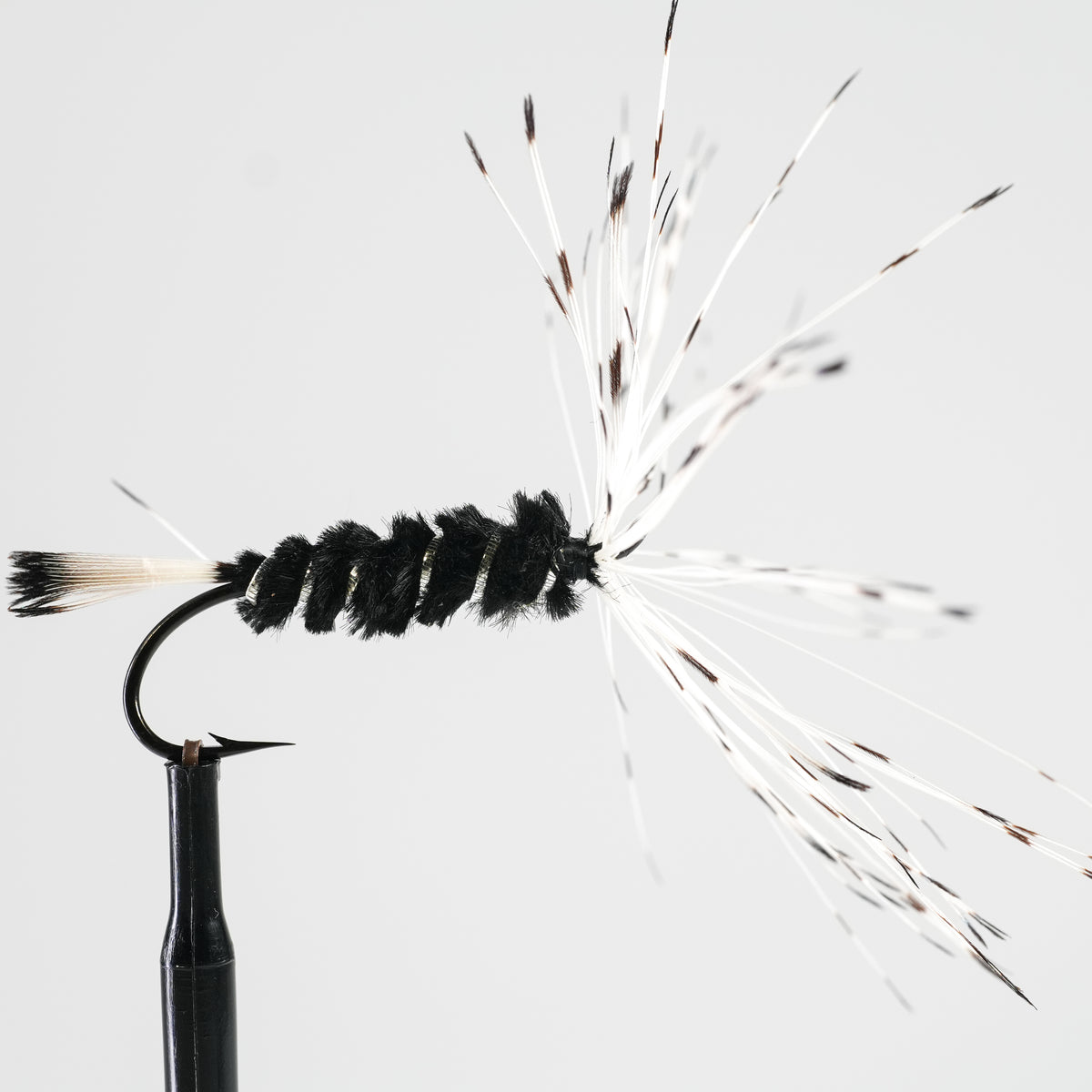 Weighted Kinney’s Reverse Spider – Waters West Fly Fishing Outfitters