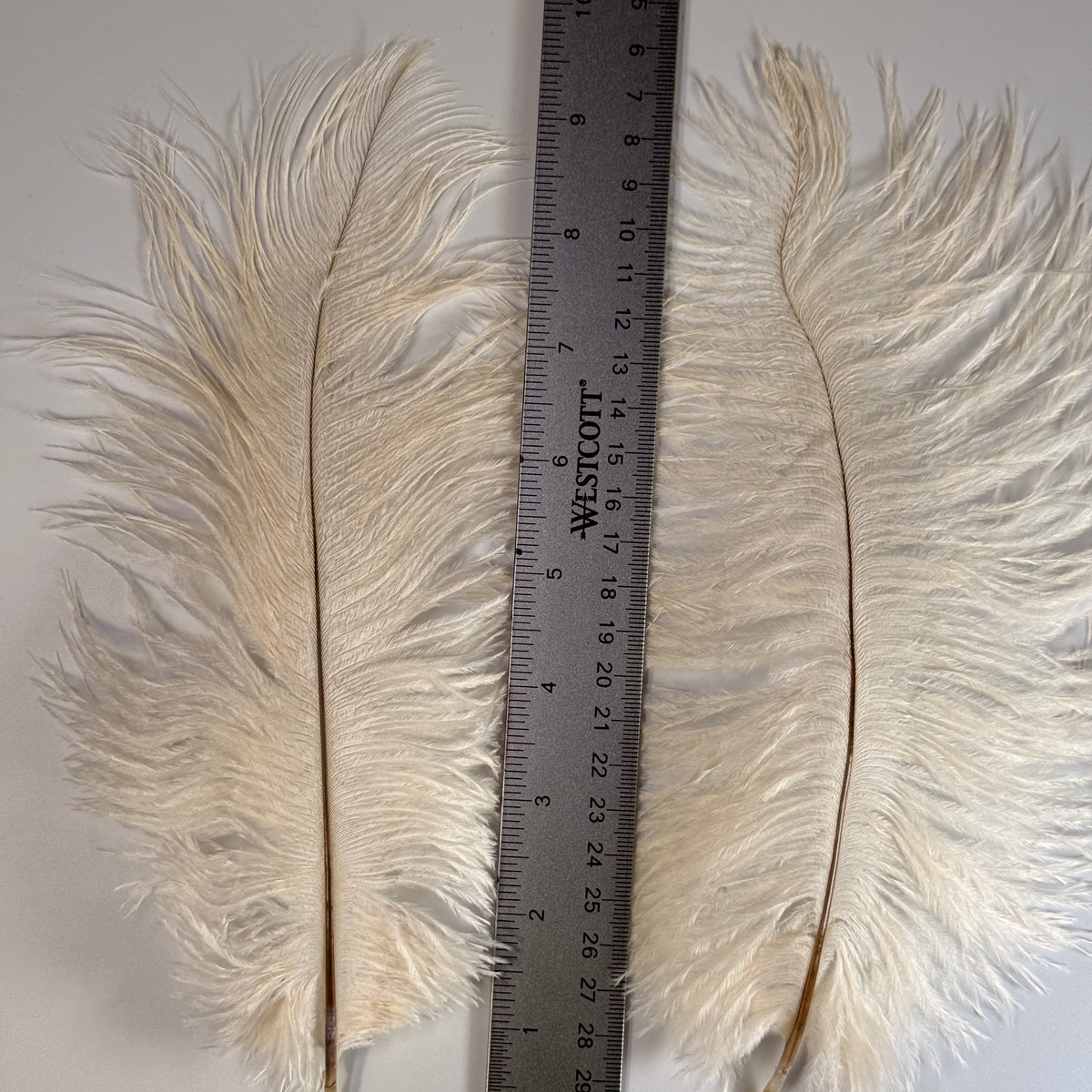 Trout Intruder Ostrich – Waters West Fly Fishing Outfitters