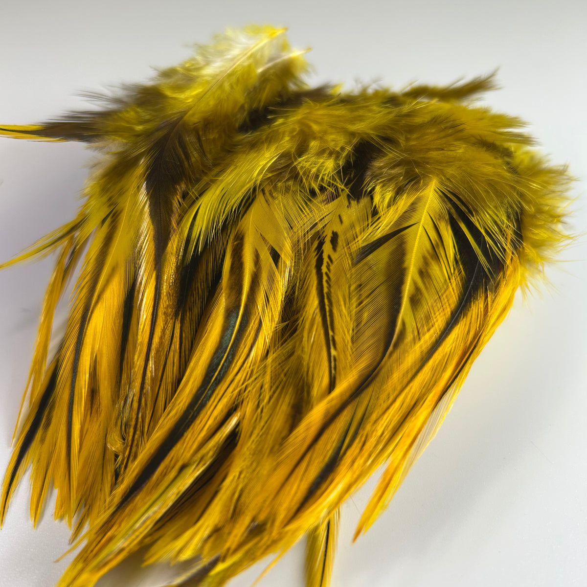 Badger Saddle Hackle - Dyed Yellow at Waters West Fly Fishing Outfitters.