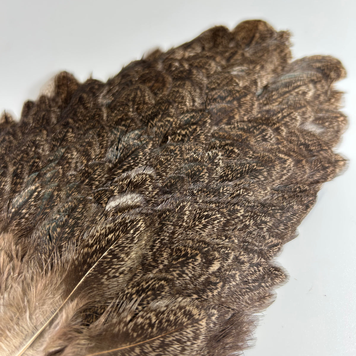 SOFT HACKLE HEN SADDLE PATCHES SPECKLED GRAY at Waters West Fly Fishing Outfitters.