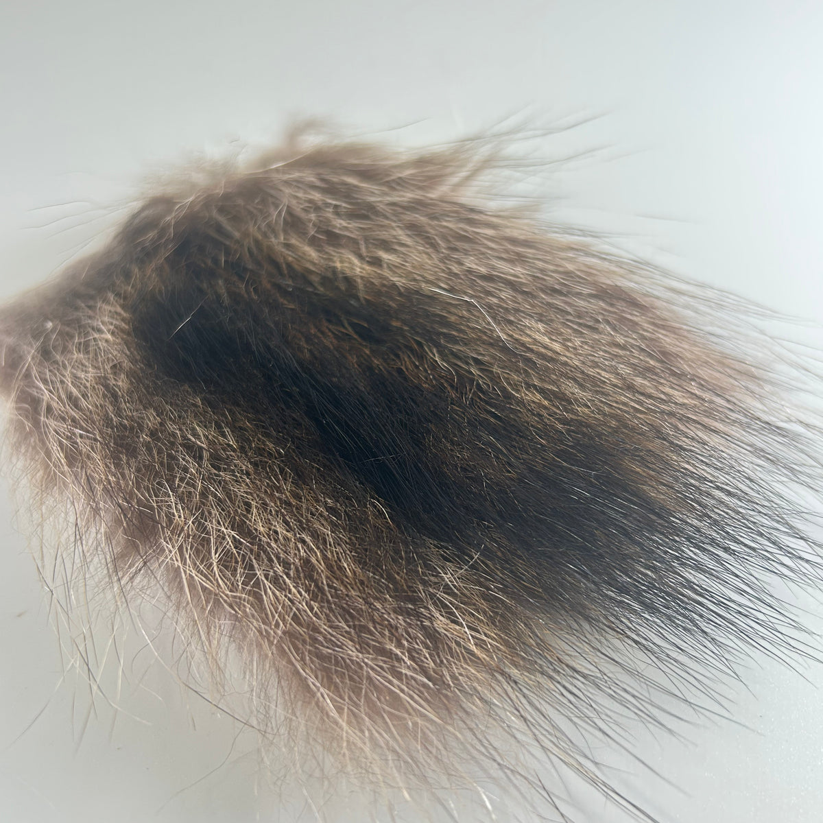 Raccoon Body Fur Natural at Waters West Fly Fishing Outfitters.