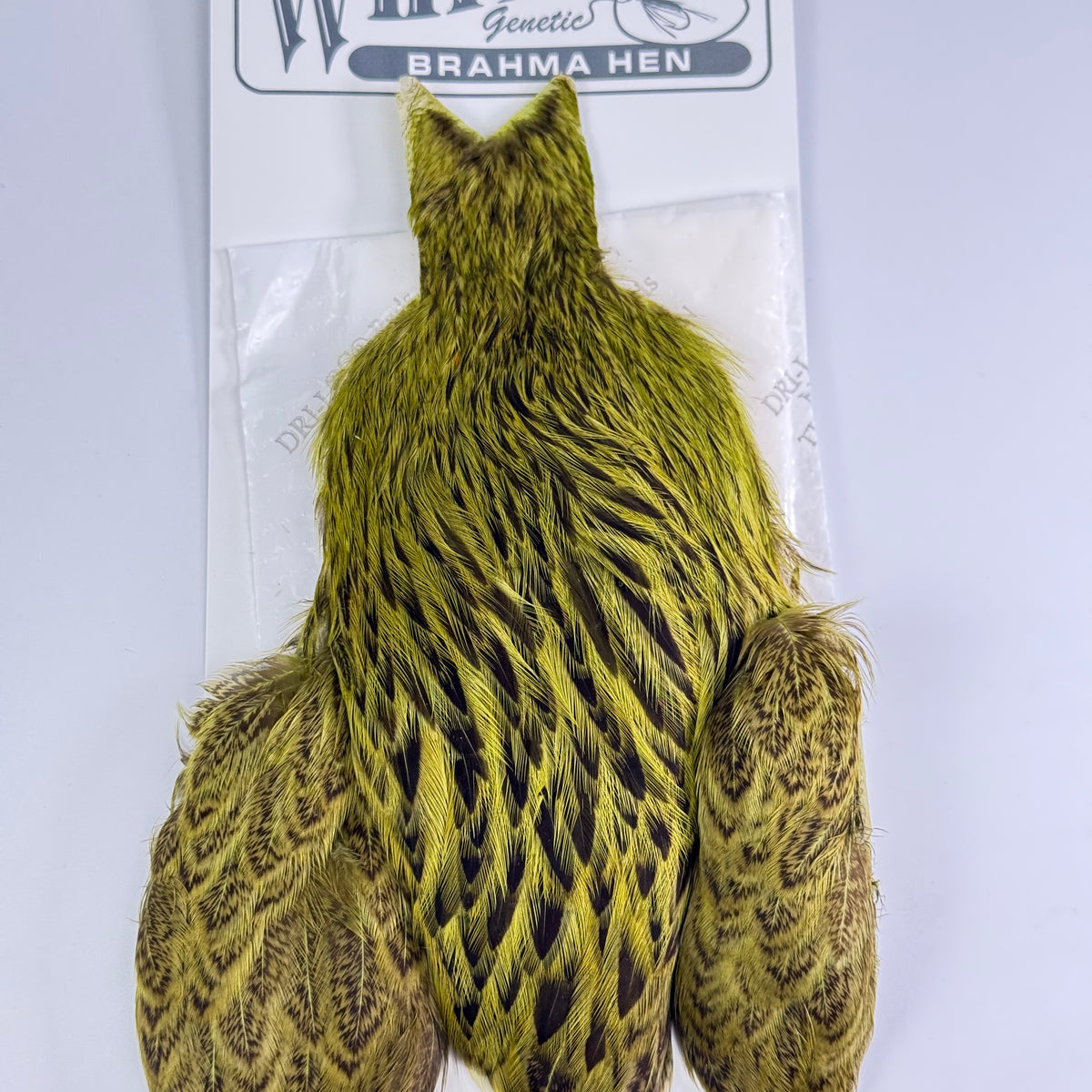 Whiting Brahma Hen Cape at Waters West Fly Fishing Outfitters.