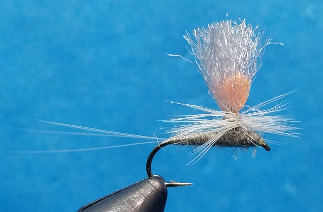 Jake Hedgen Dun Calibaetis – Waters West Fly Fishing Outfitters