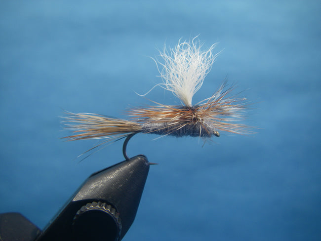 Parachute Adams – Waters West Fly Fishing Outfitters