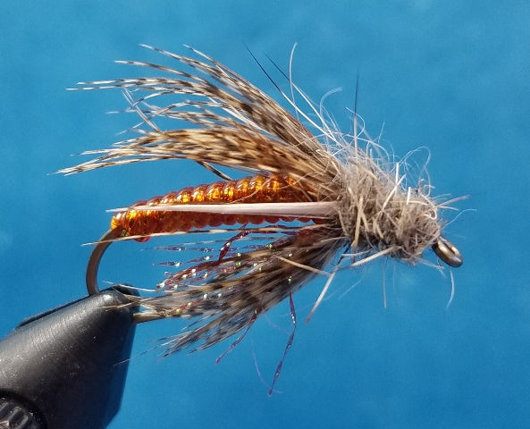 Taylor's Fall Caddis Emerger – Waters West Fly Fishing Outfitters