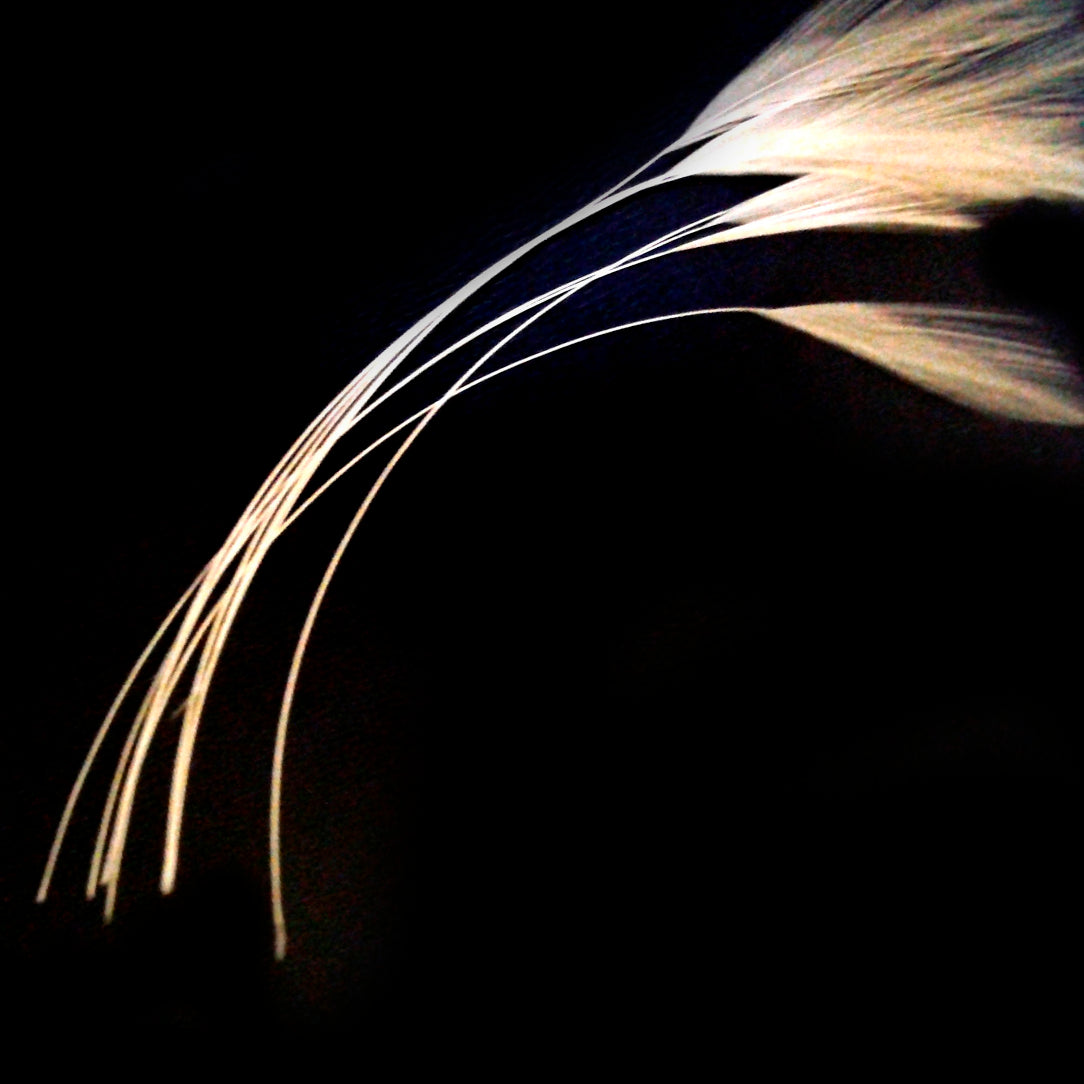 Skeena River Ultimate Feelers at Waters West Fly Fishing Outfitters.