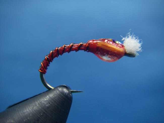 Red Yankee Buzzer – Waters West Fly Fishing Outfitters