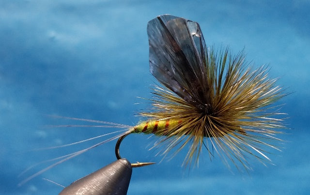 Adult Green Drake - cellophane wing – Waters West Fly Fishing Outfitters