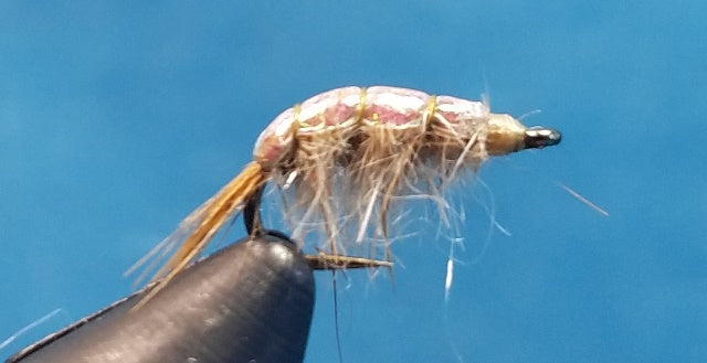 Flashback Scud Tan – Waters West Fly Fishing Outfitters