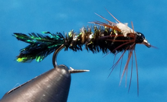Zug Bug – Waters West Fly Fishing Outfitters
